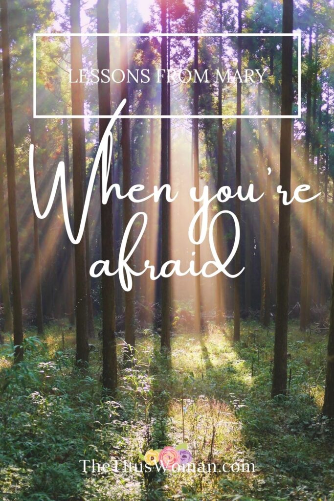 How To Stop Being Afraid of Everything